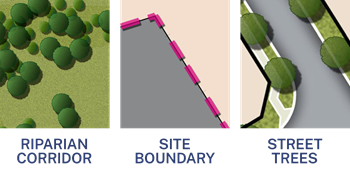 Masterplan | Cobbitty by Mirvac