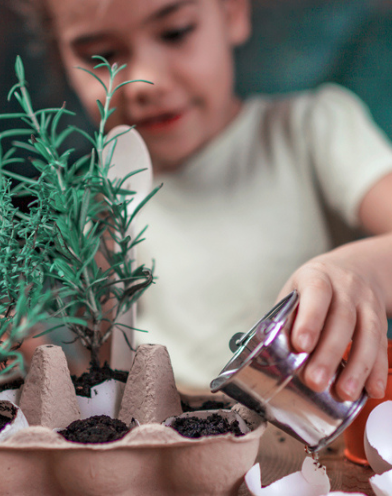 Coles | Broadway Sydney