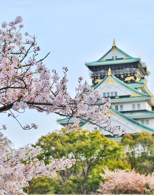 Telstra Shop | Orion Springfield Central, Ipswich Brisbane